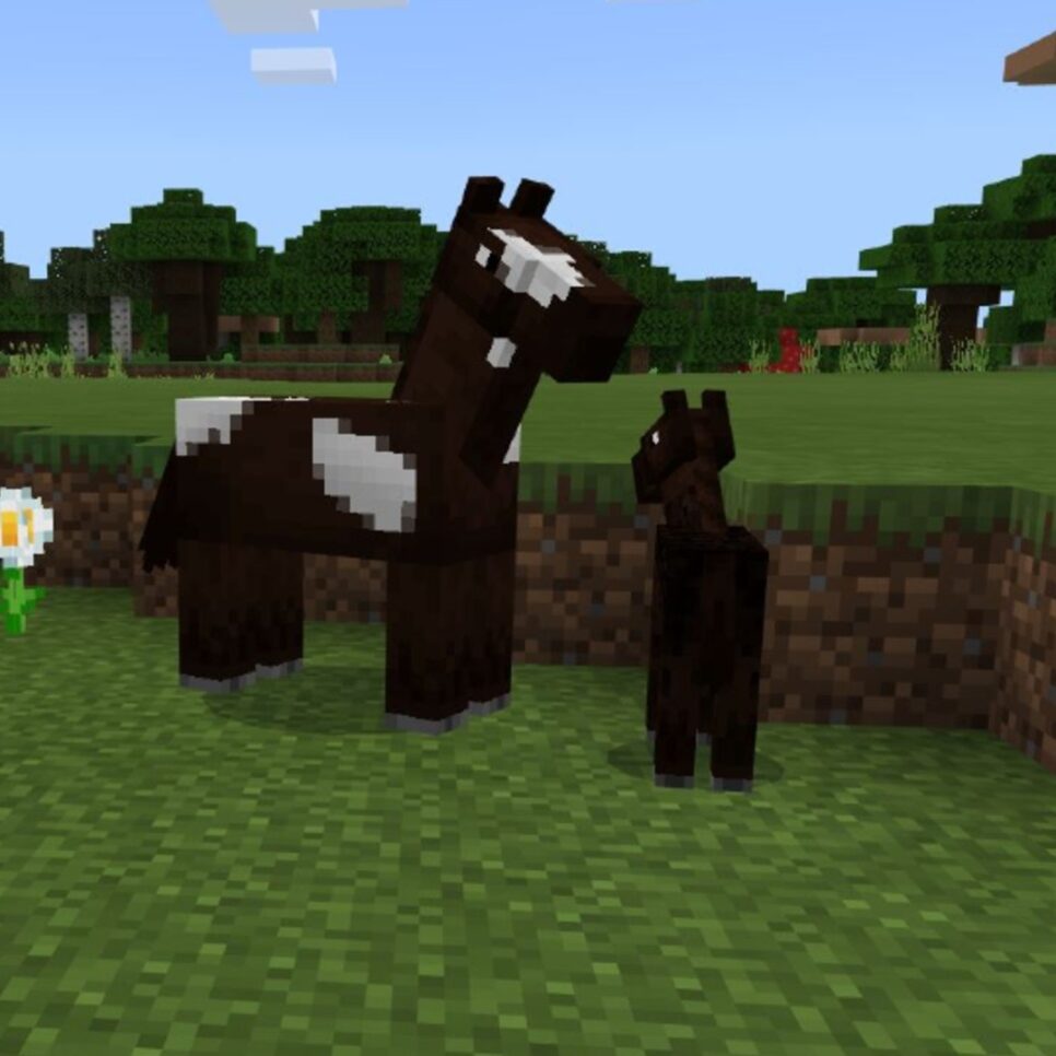 Feather Client - najlepszy launcher Minecraft?